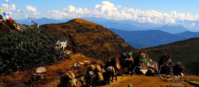 The Druk Path Trek - Access Nepal